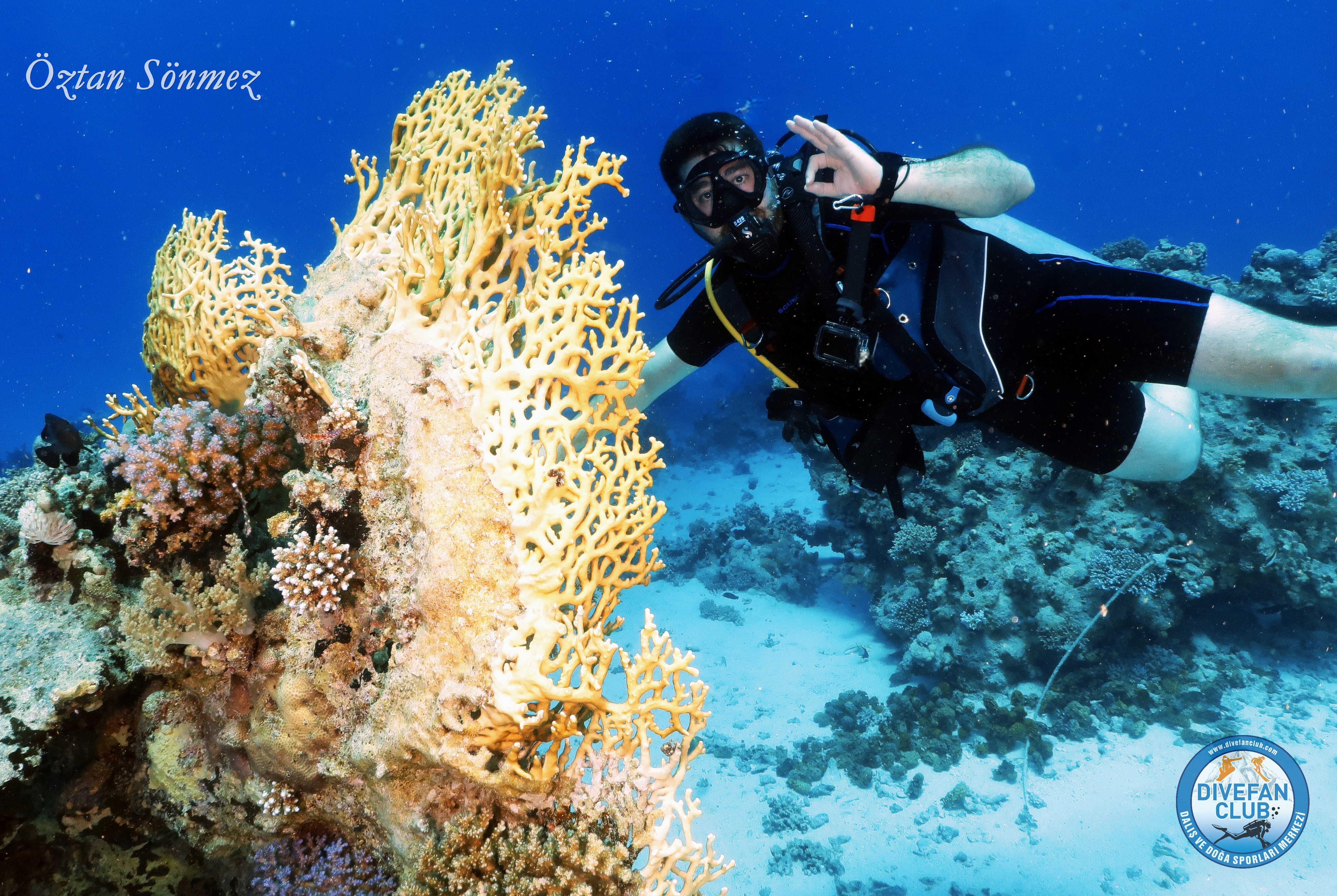 Dive Connect - Dive Tour Booking